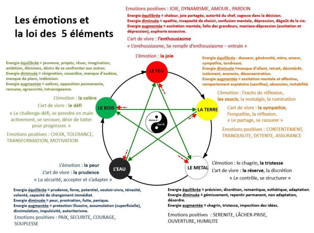🌍 Les cinq mouvements du Wu Xing de la médecine chinoise